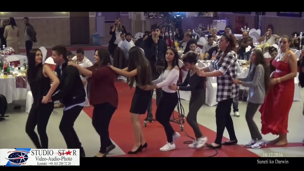 bijav 2017 sunet Darwin 45 pingvin ples - YouTube