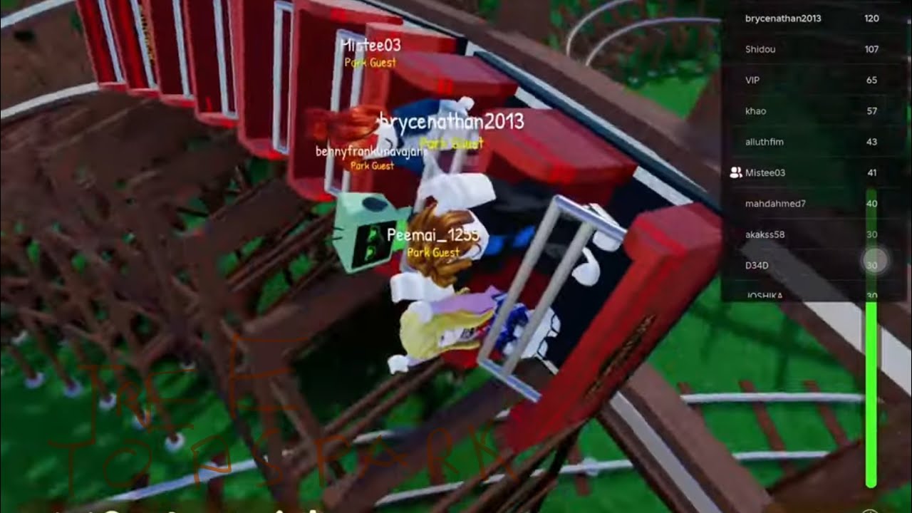 BRYCE AND MISTEE RIDES A ROLLER COASTER 🎢 AT TREE TOPS PARK ROBLOX ...