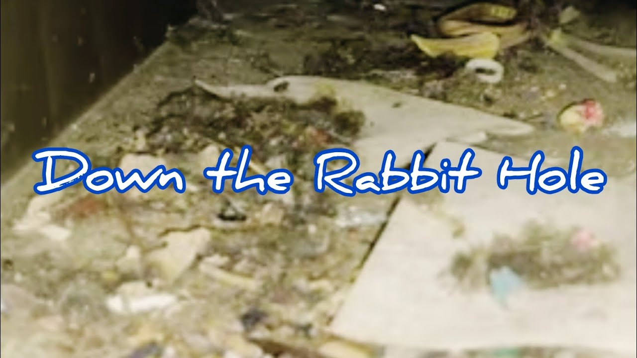 Dirty Floor Vents | Dirty Air Ducts | How To Clean Air Ducts - YouTube