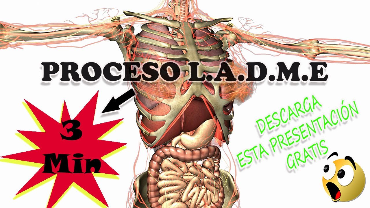Proceso LADME en [3 MINUTOS] - YouTube