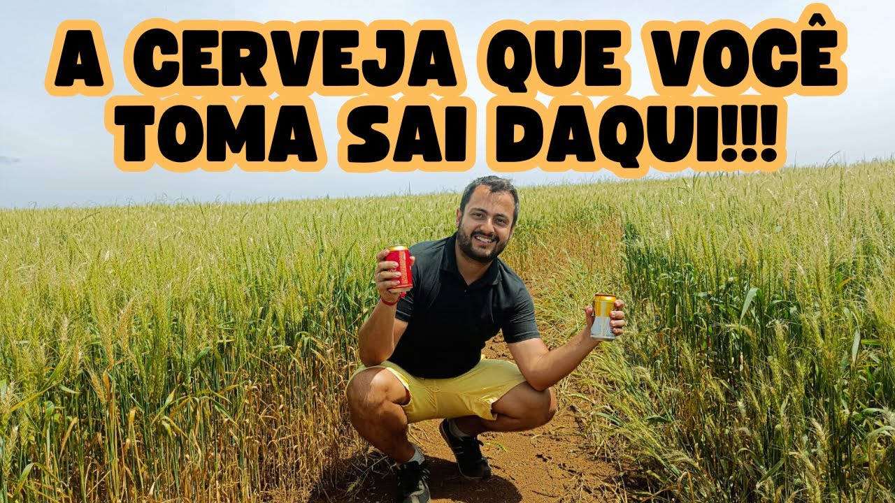 CONHEÇA A MAIOR PLANTAÇÃO DE CEVADA DO BRASIL. - T1/E10 - YouTube