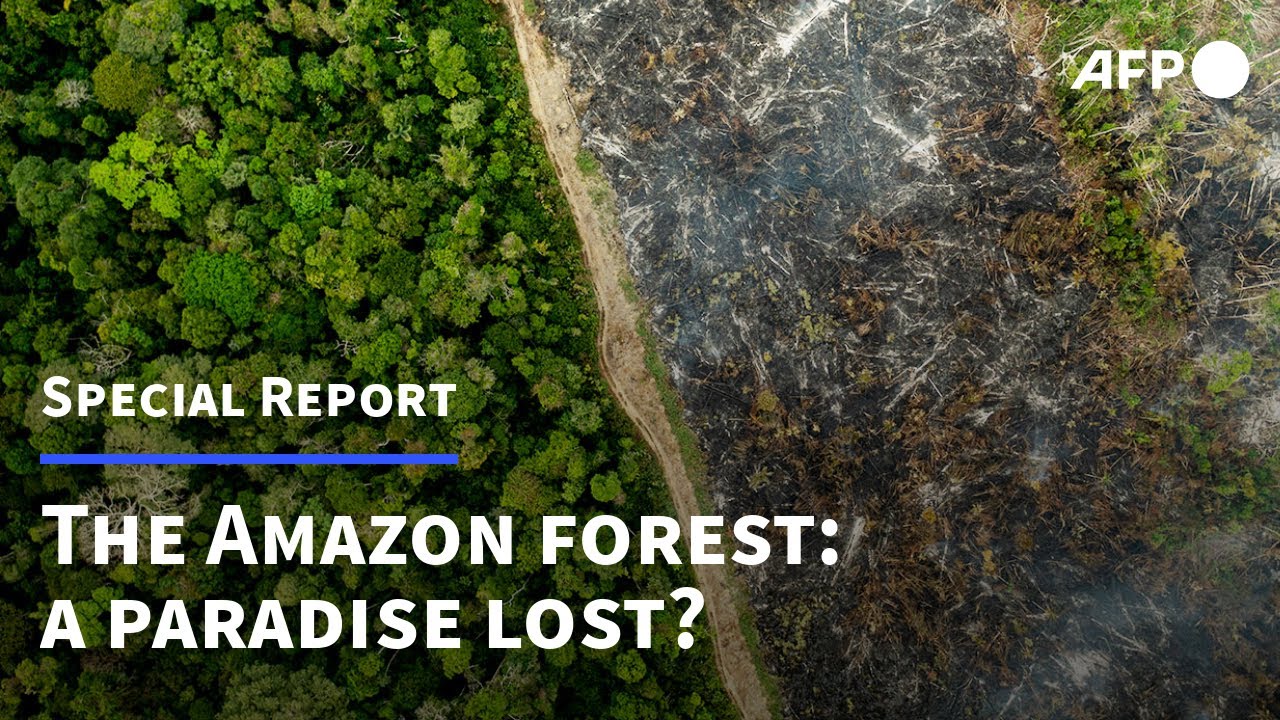 The Amazon: a paradise lost? | AFP - YouTube