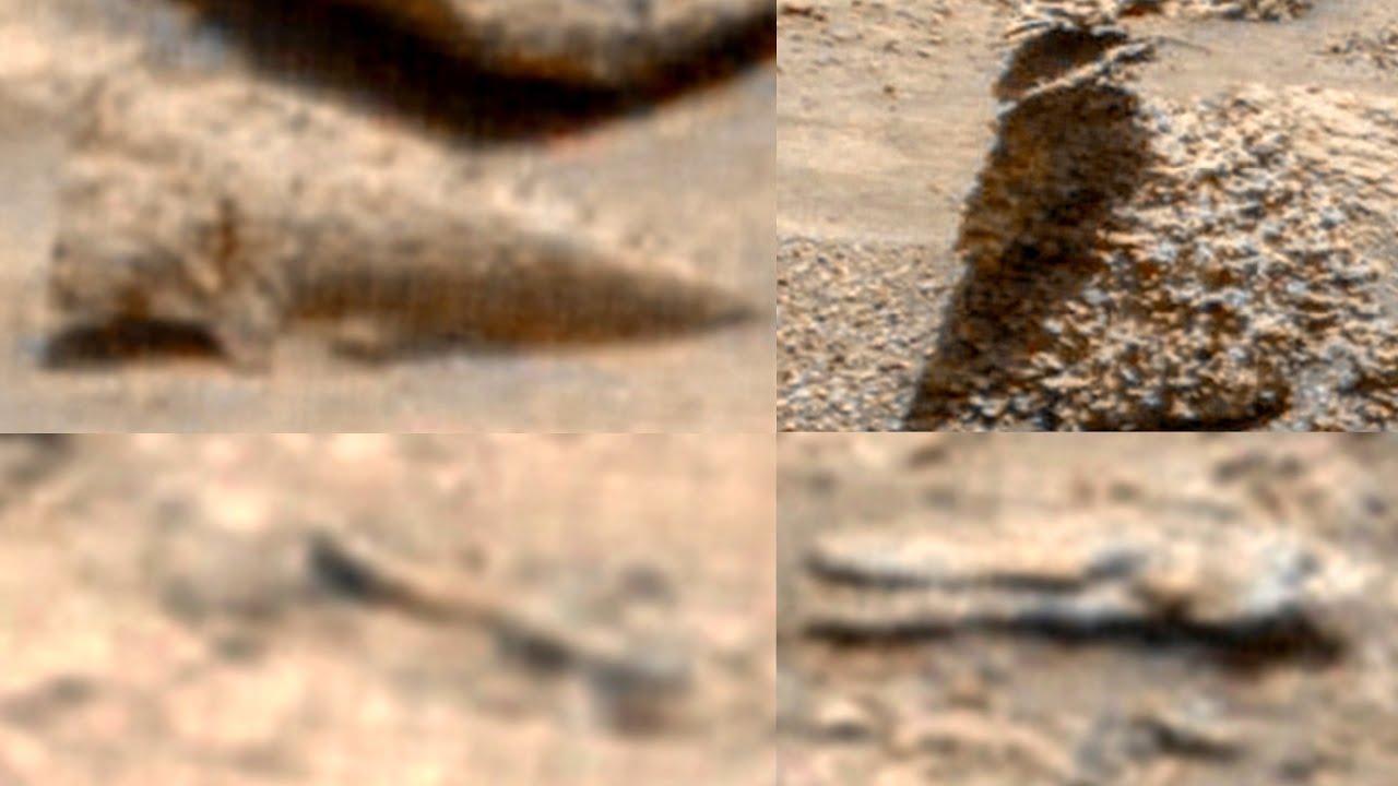 Fossilized Fish , Coral , Ladle and Knife on Mars - YouTube