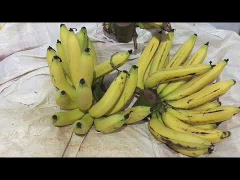 2 Arti Mimpi Diberi Buah, Makan Buah Pisang DLL
