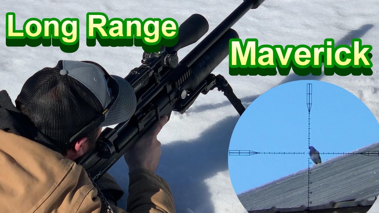 Long Range Pigeon Hunting | FX Maverick | Airgun Hunting - YouTube