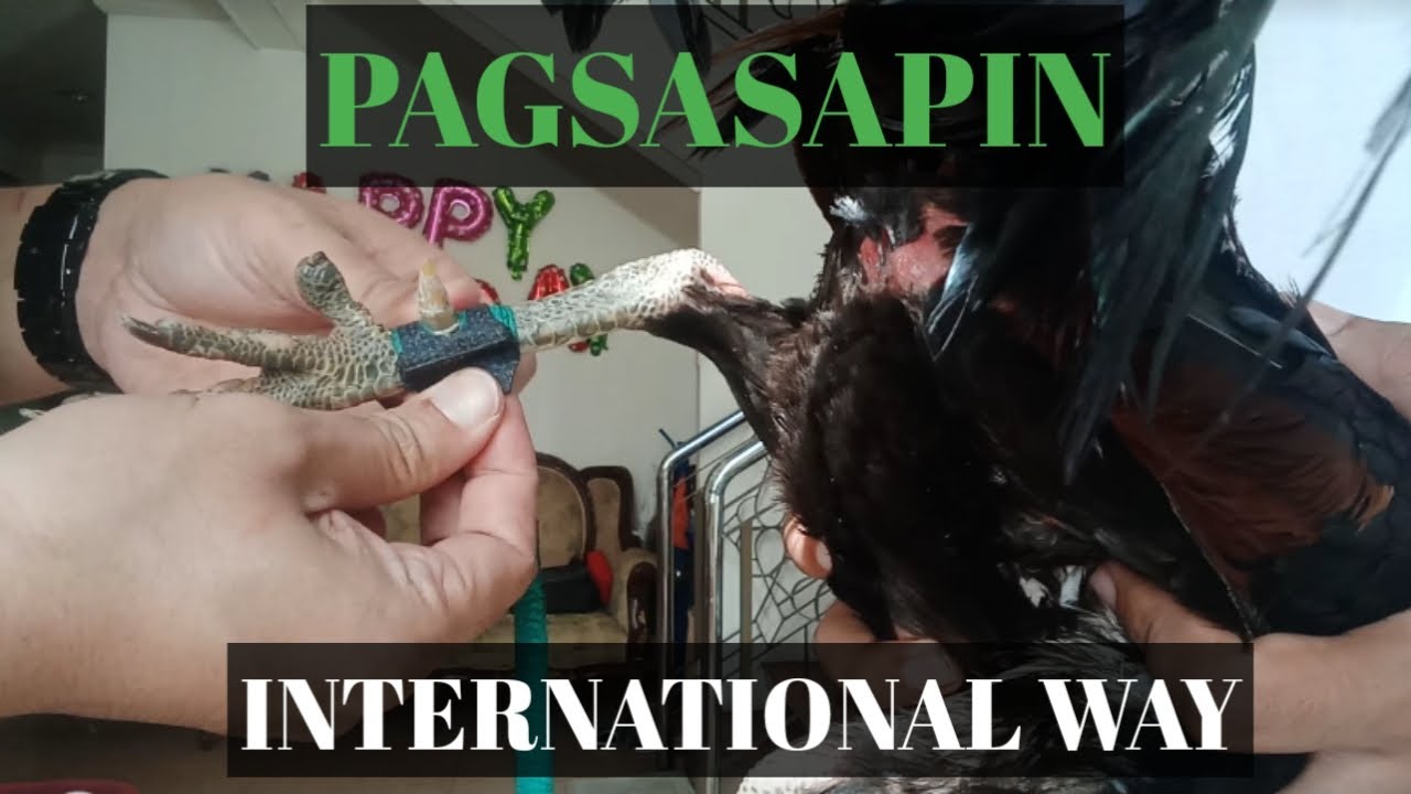 TARI TUTORIAL; PAGSASAPIN - YouTube