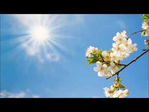 Şiir Seslendirmem-Dost-Cahit KÜLEBİ