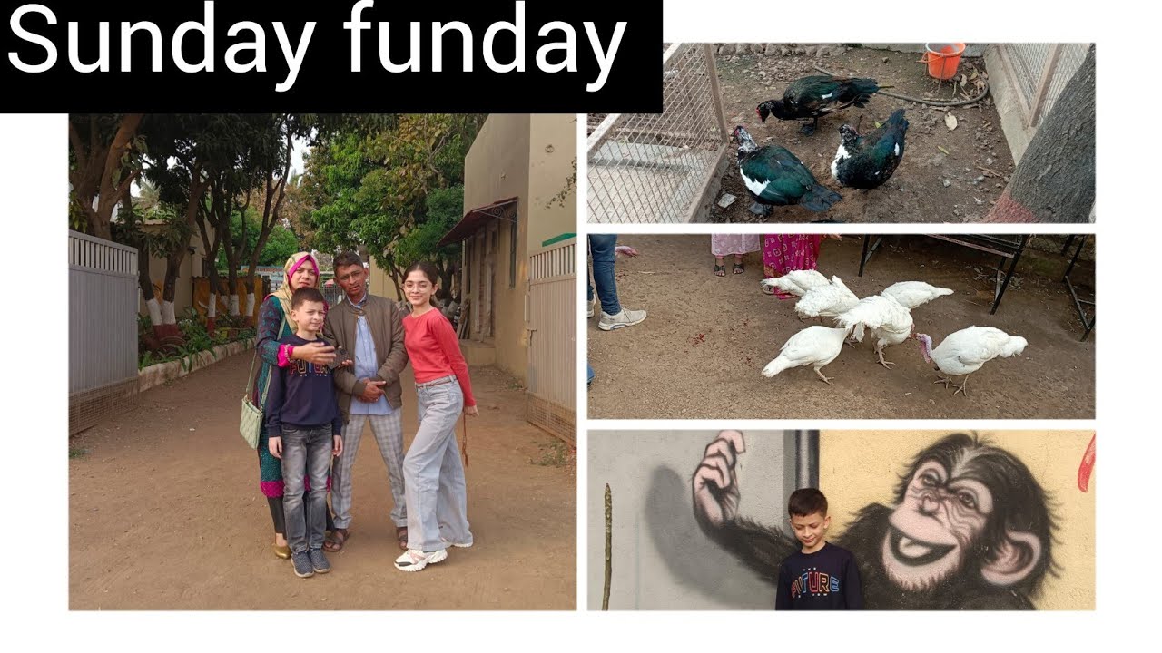 sunday funday vlog|sunday outing gaye bird garden|outing se aane k baad ...