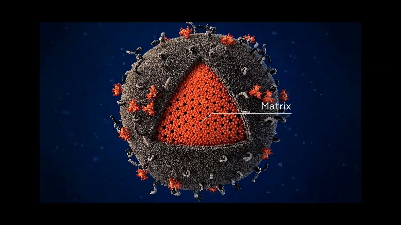 HIV VIRUS 3D MODEL SCIENTIFICALLY - YouTube