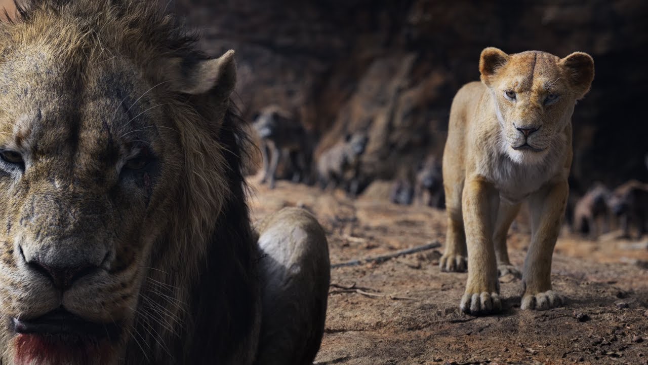 The Lion King 2019 - Scar Rules The Pride Lands I 4K Ultra HD - YouTube
