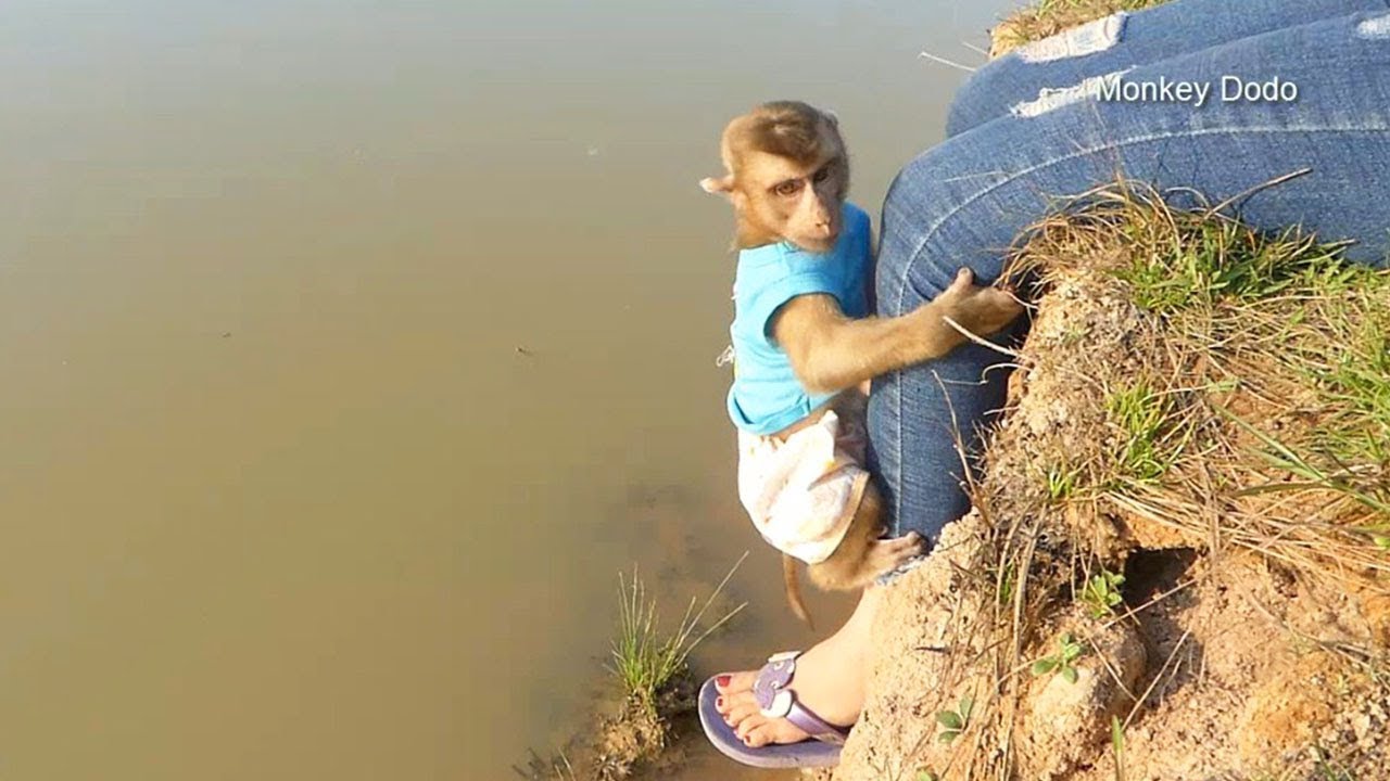 Dodo Want To Go Down Into River Bank, Dodo Very Happy To Out - YouTube