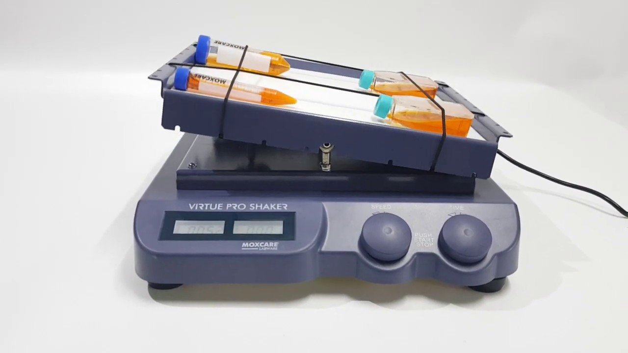 Rocking Shaker - YouTube