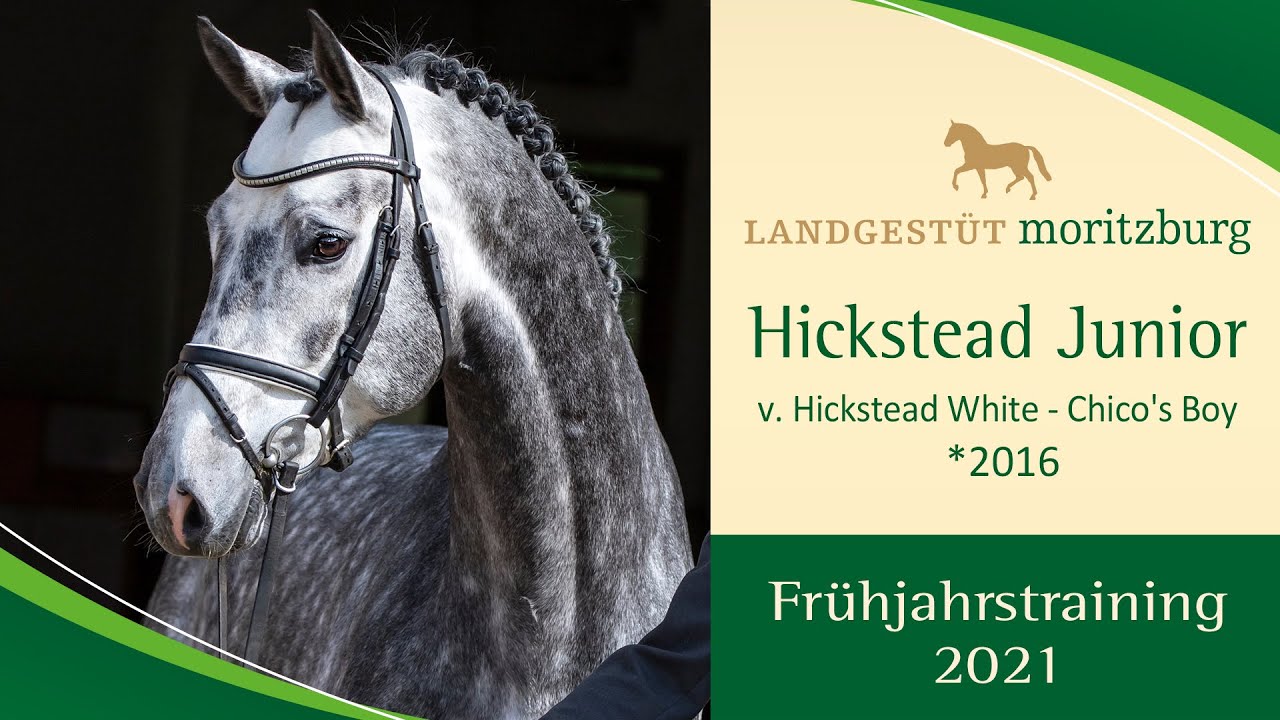 HICKSTEAD JUNIOR v. Hickstead White - Chico's Boy im Training - YouTube