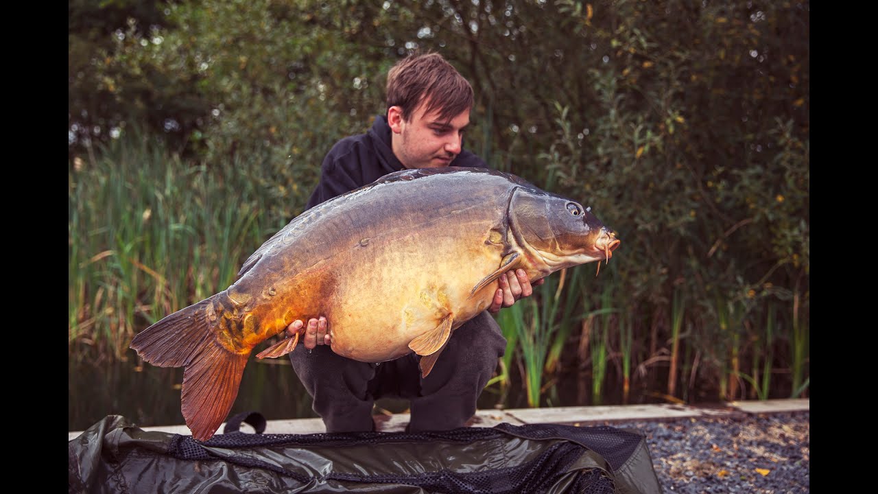 Carp Fishing Road Trip - Part 3 - Netherlands - YouTube