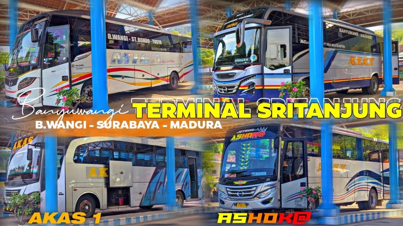 SANGAR🔥 Aktivitas Po. AKAS IV Banyuwangi - Madura di terminal ...