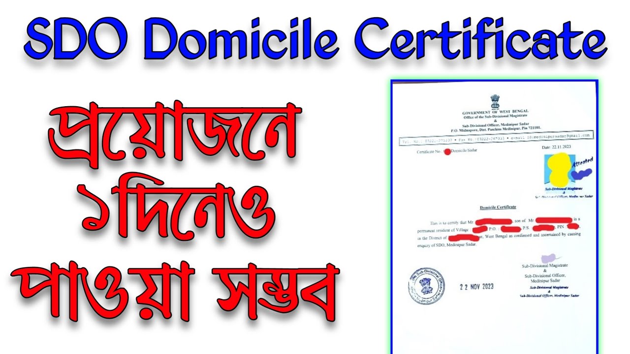 1 day BDO domicile certificate | Offline Dominical Certificate ...