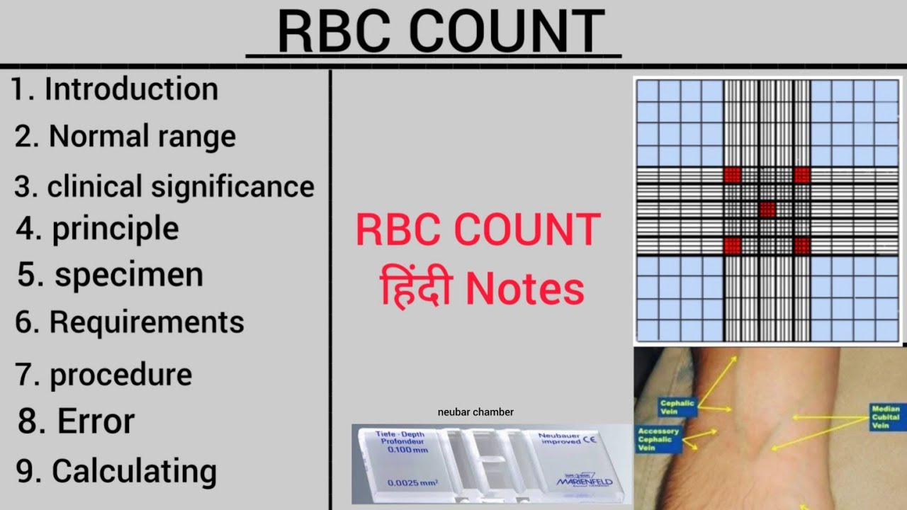 RBC COUNT Hindi Notes || Hemocytometery || हिंदी + Inglish Notes - YouTube
