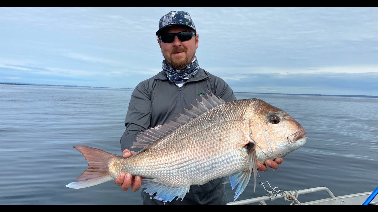 Snapper season 2022 highlights - YouTube