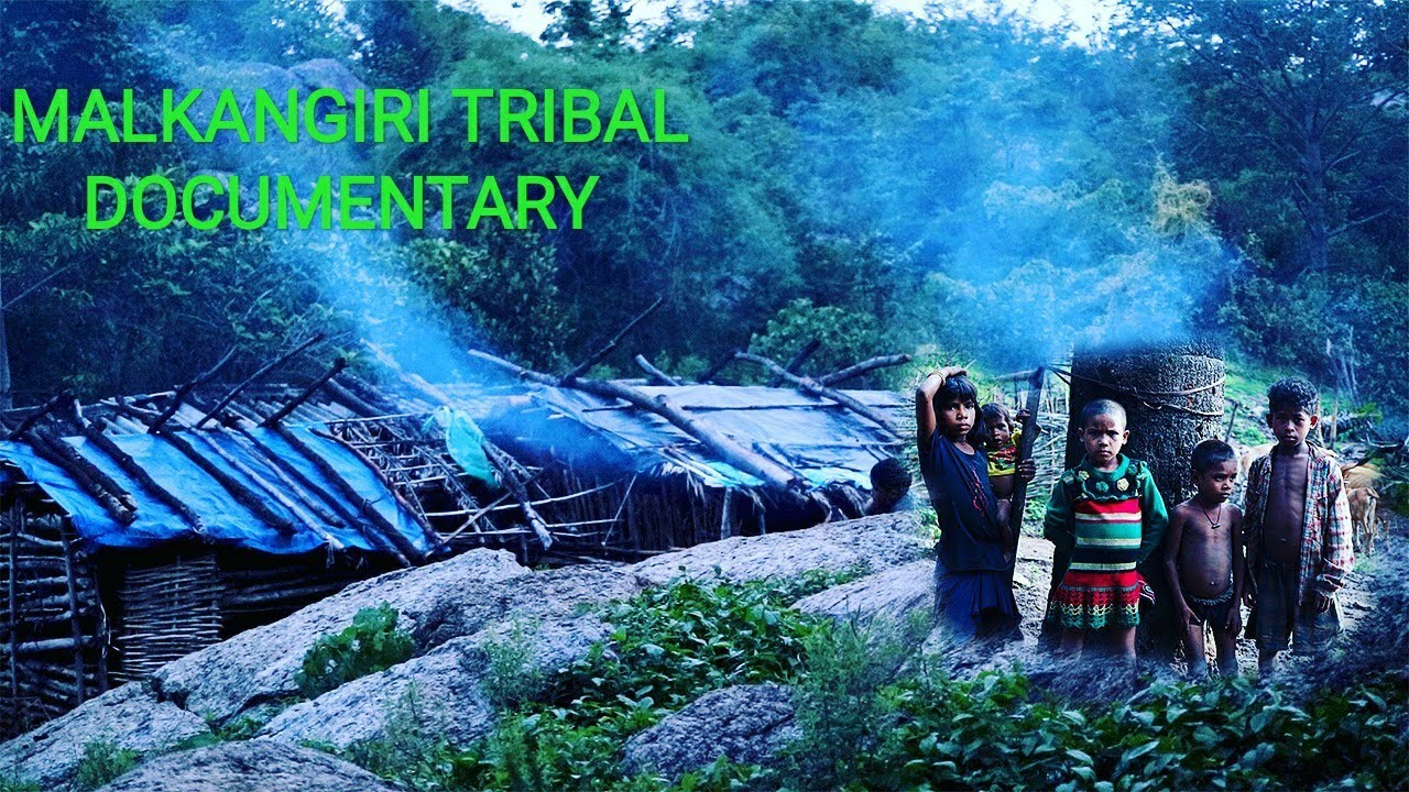 Documentary on Malkangiri tribal people living on top of mountains for ...