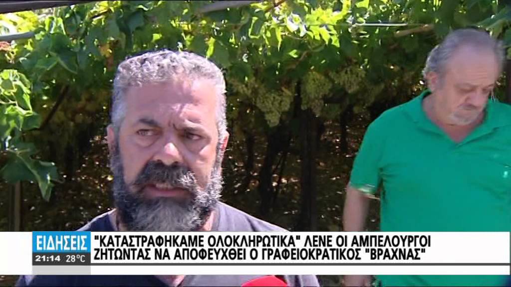 ΣΤΑ ΑΜΠΕΛΟΧΩΡΙΑ ΤΟΥ ΗΡΑΚΛΕΙΟΥ Ο ΑΝΤΙΠΡΟΕΔΡΟΣ ΤΟΥ ΕΛΓΑ - YouTube