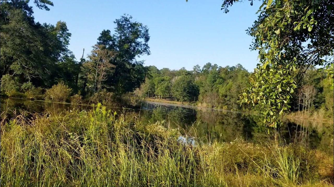 Selma Erwin Nature Preserve Trail, Scotsboro, Georgia - YouTube