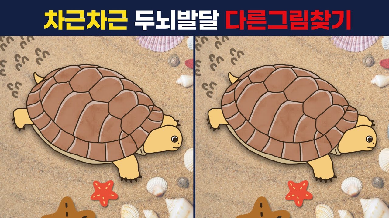 다른그림찾기 차근차근 두뇌발달 수수께끼 넌센스 건망증 치매예방 틀린그림찾기 Find 3 Differences 언제나 퀴즈
