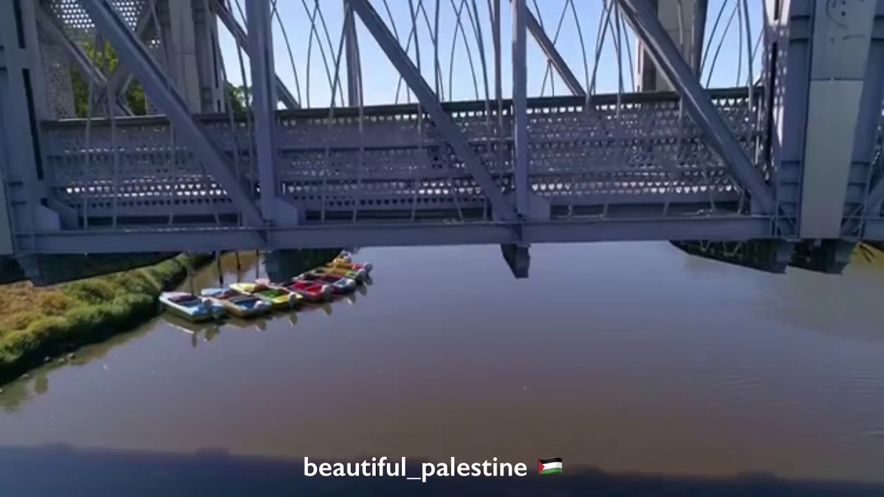 نهر العوجا يافا فلسطين Palestine Youtube