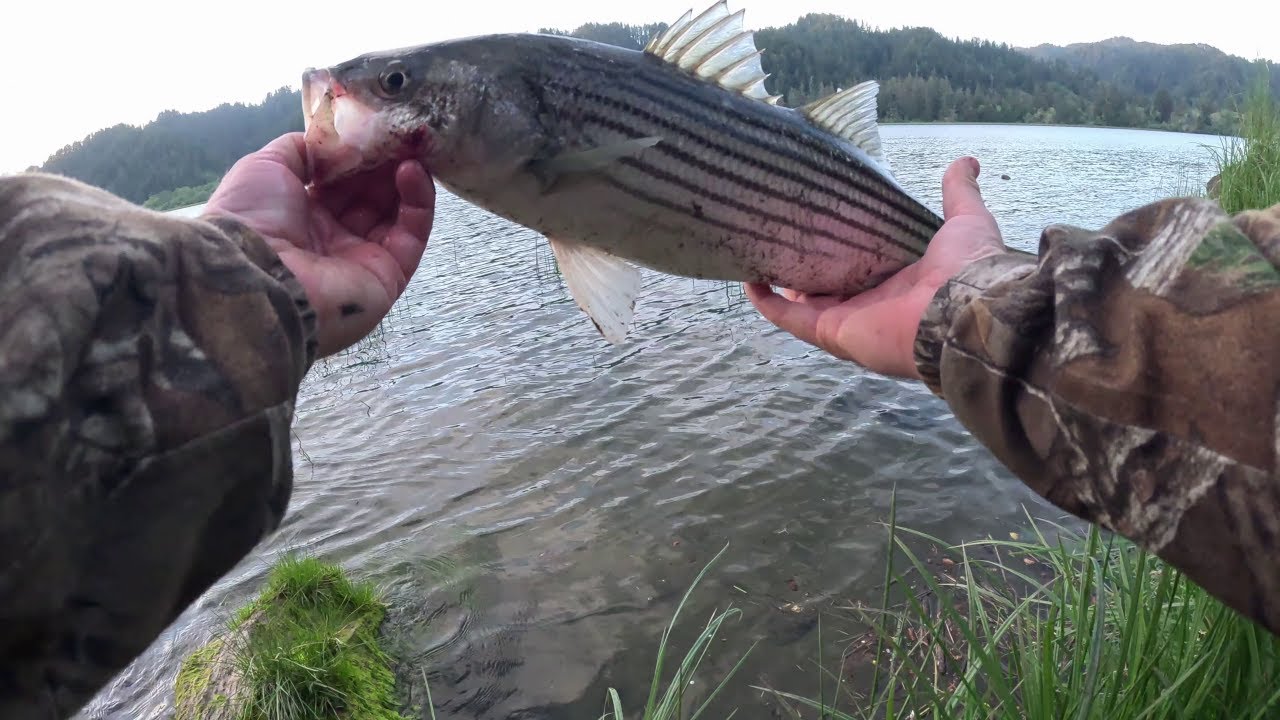 Oregon Striped Bass Fishing - YouTube