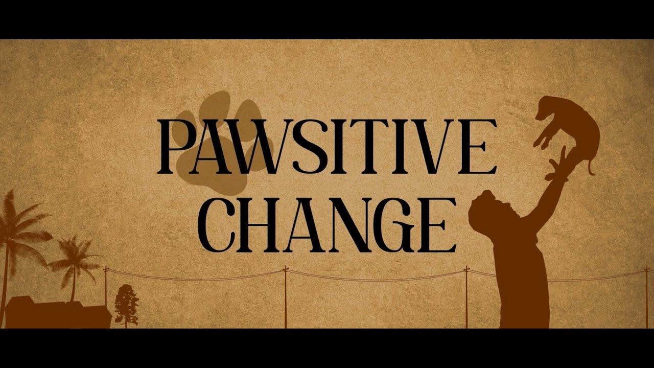 Pawsitive Change | Short Film | LakshyaBhedi Productions - YouTube