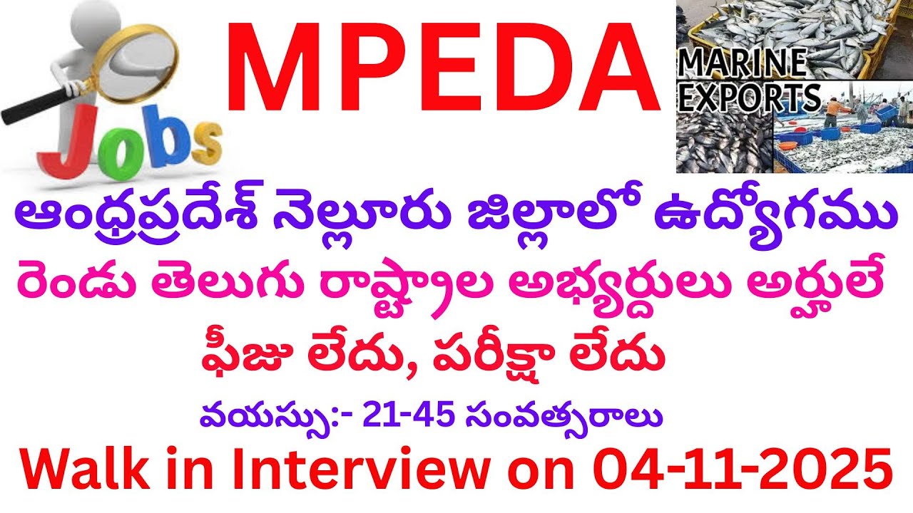 #apjobupdates MPEDA Recruitment Oct 2025 in Telugu - YouTube