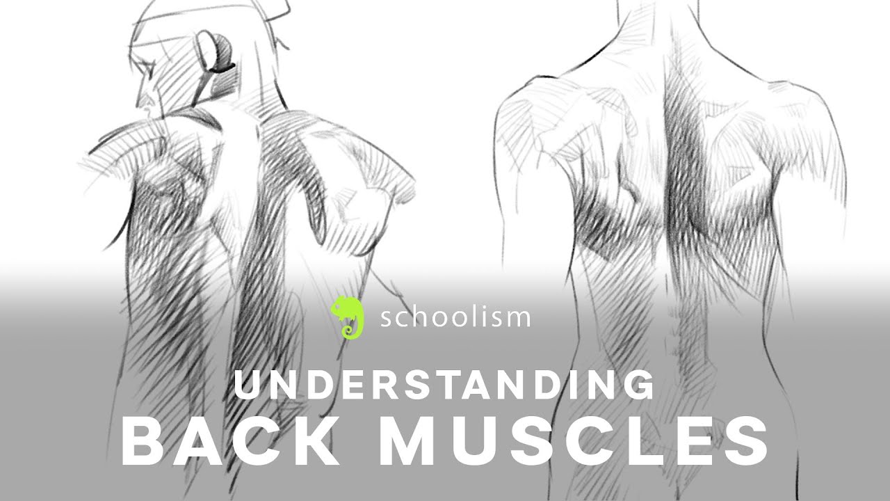 Understanding Back Muscles - YouTube