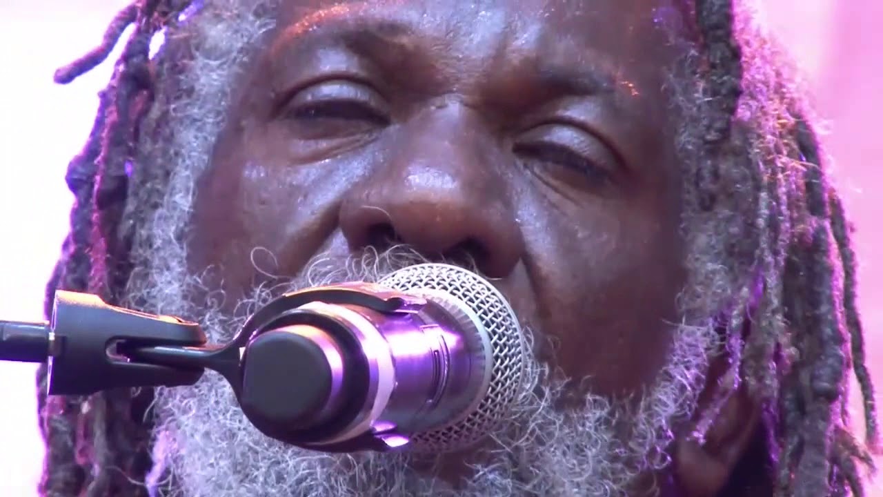 WINSTON McANUFF sings MALCOM X - INNA DE YARD live @ Rototom Sunsplash ...