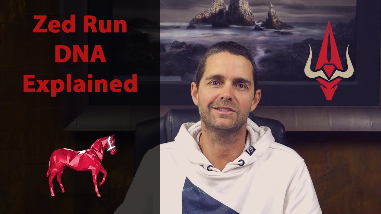ZED RUN | Breeding (DNA explained) - YouTube