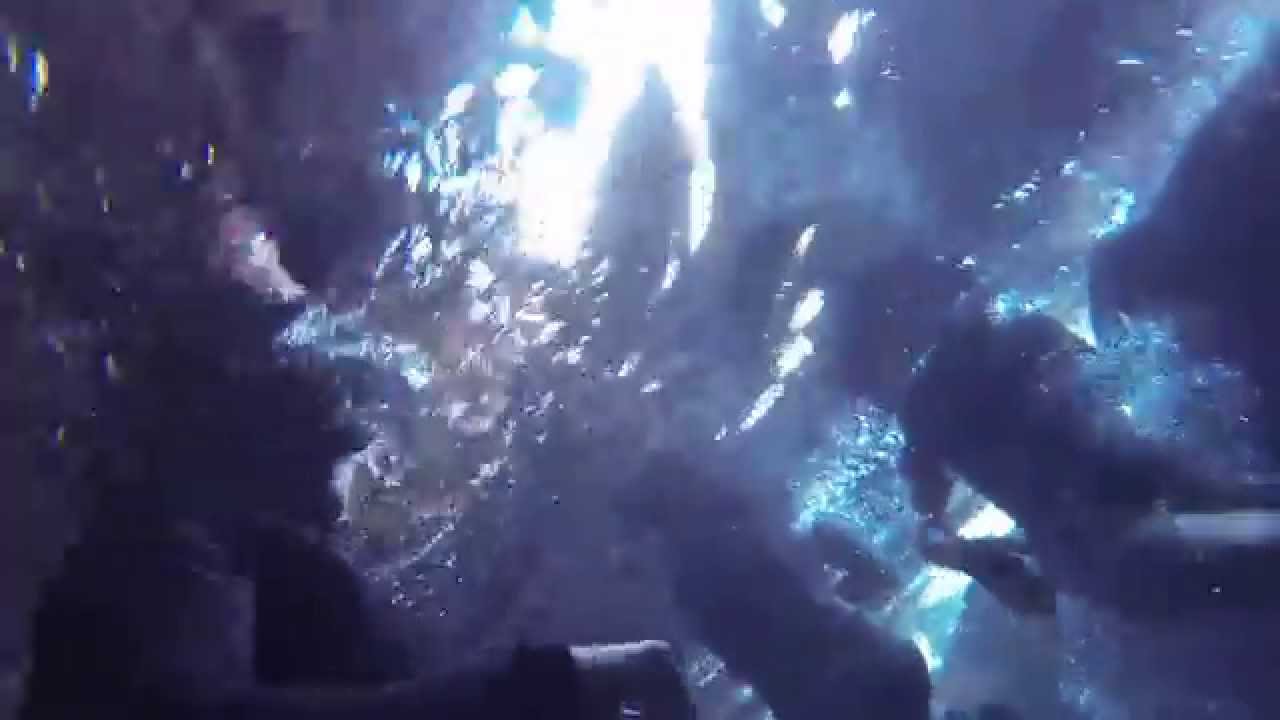 Shark's Cove Cave Dive on the North Shore, Oahu, Hawaii - YouTube