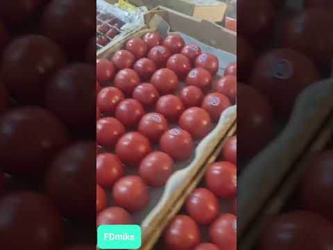 #keşfet #komedi #prikol #world #amazing #bazaar 3Mr Bazari.