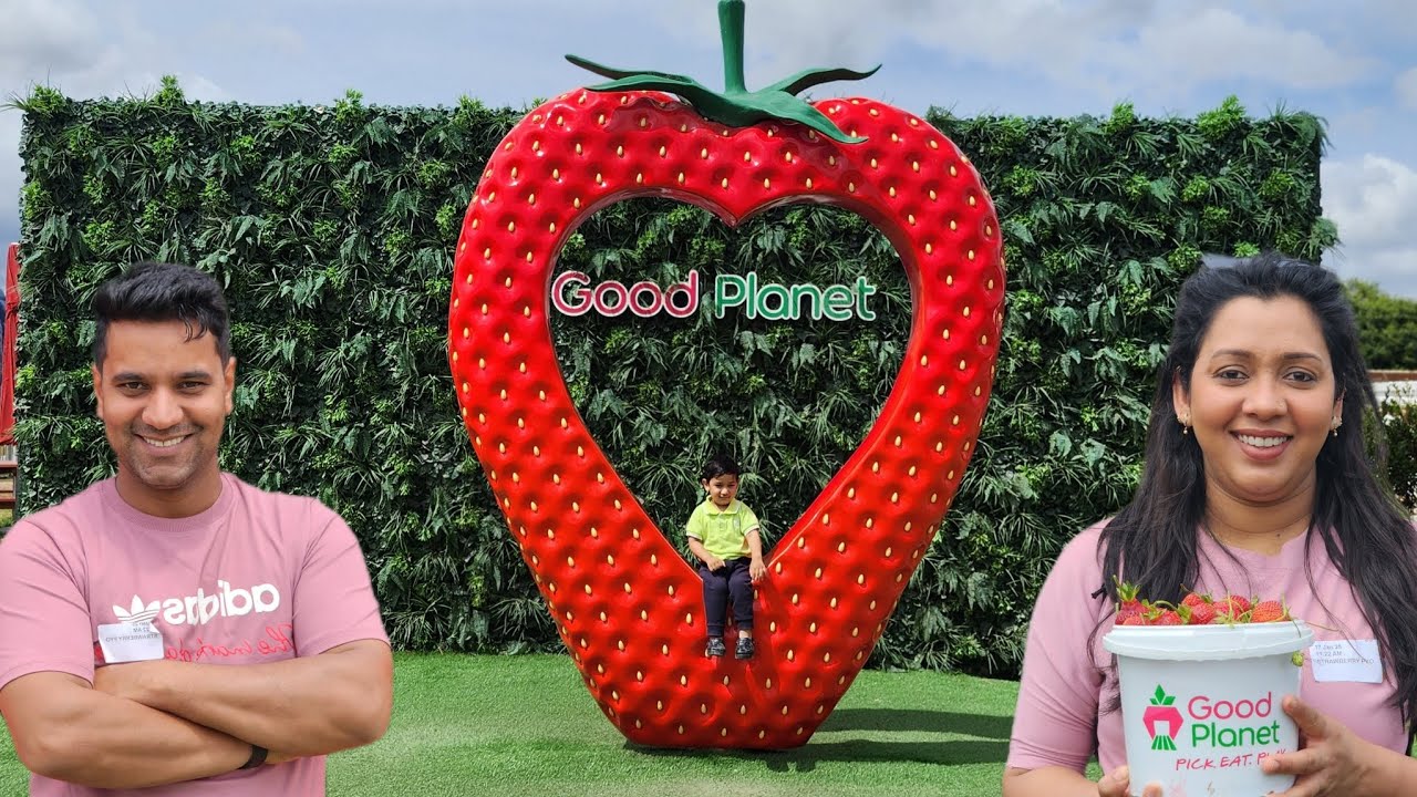 Picked Strawberries 👍 || Good planet || 😋 Fun - YouTube