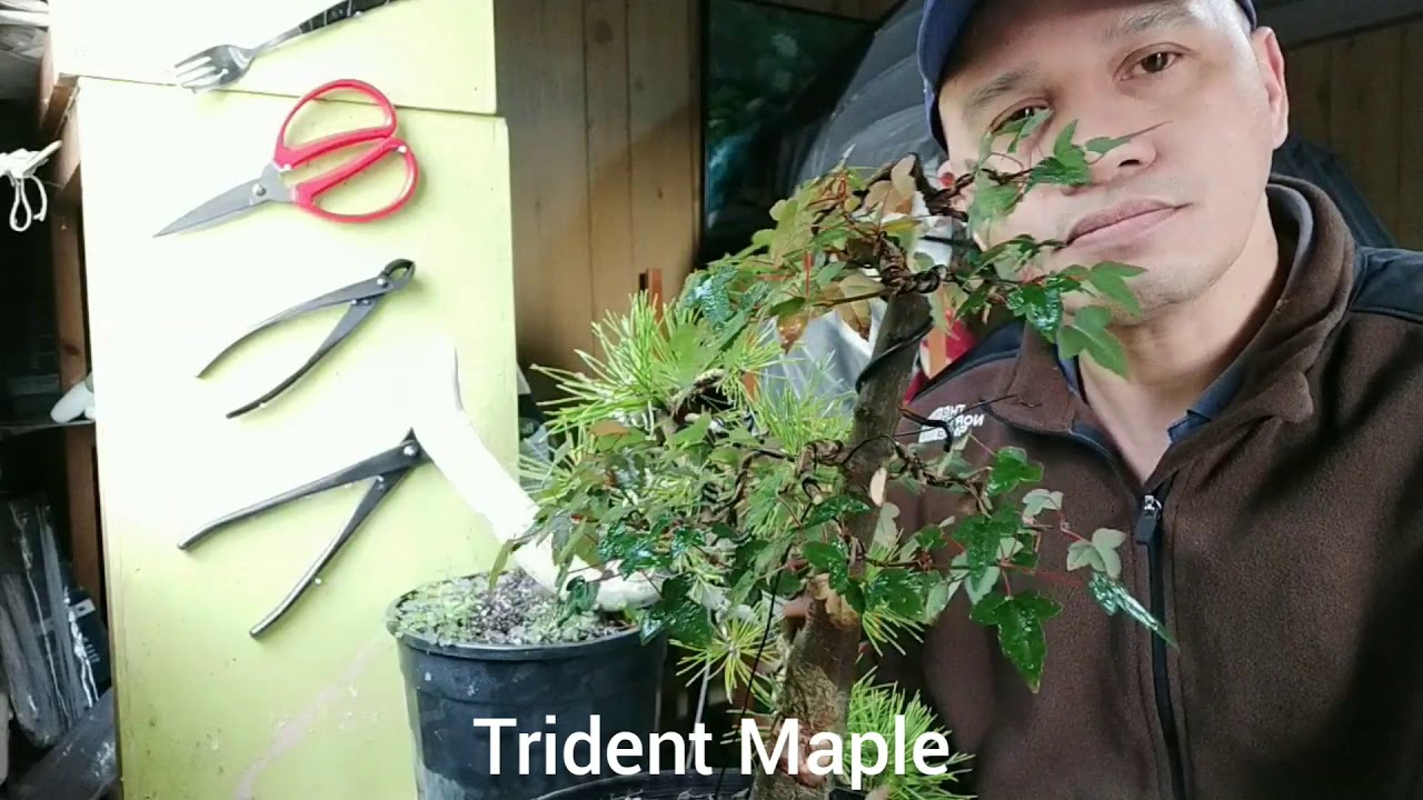 Wire Bites, ano ang dapat gawin - YouTube