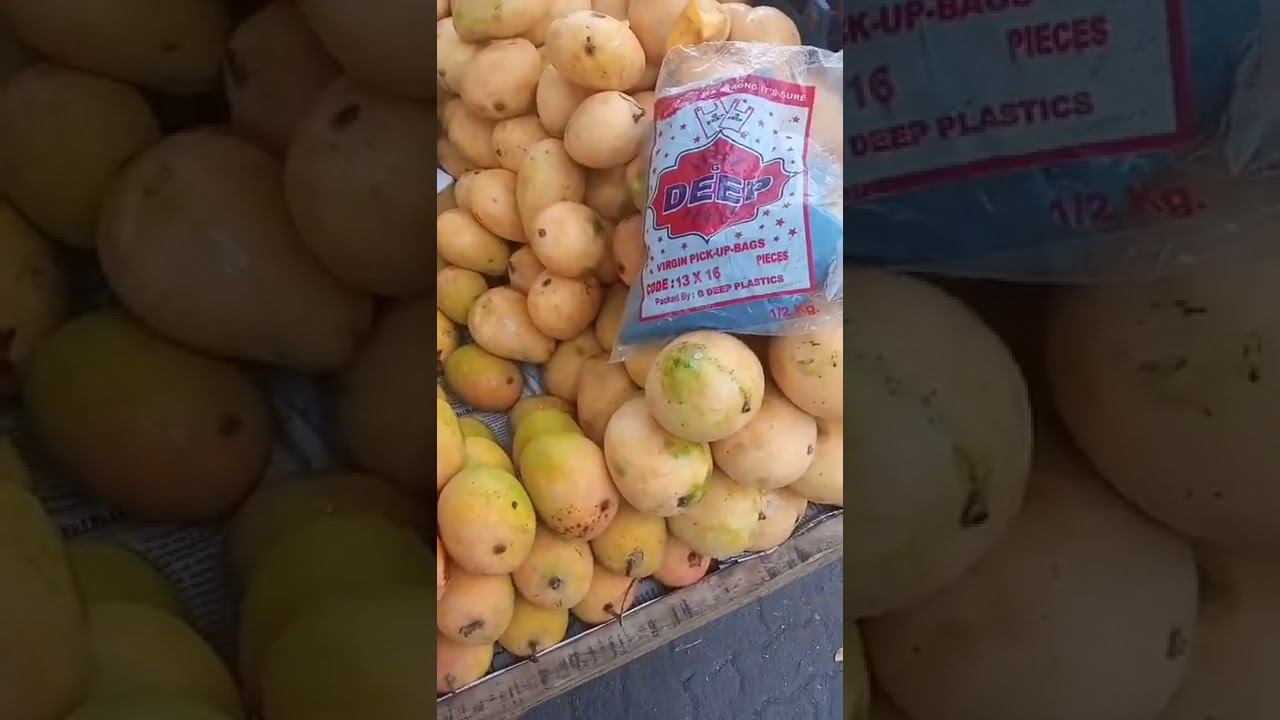 DELICIOUS HAFOOS MANGO FOR RS 100 FOR 1 DOZEN ll #youtube #food #viral ...