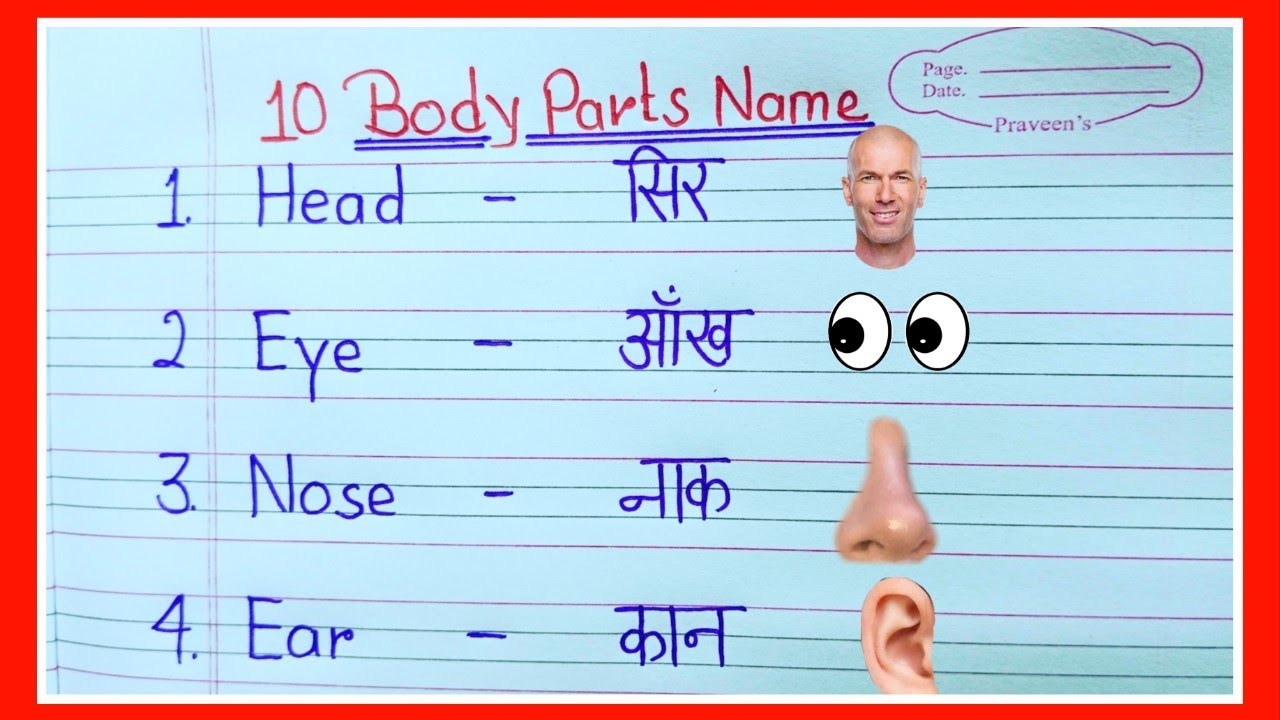 10 Body Parts Name in English and Hindi | शरीर के अंगों के नाम ...