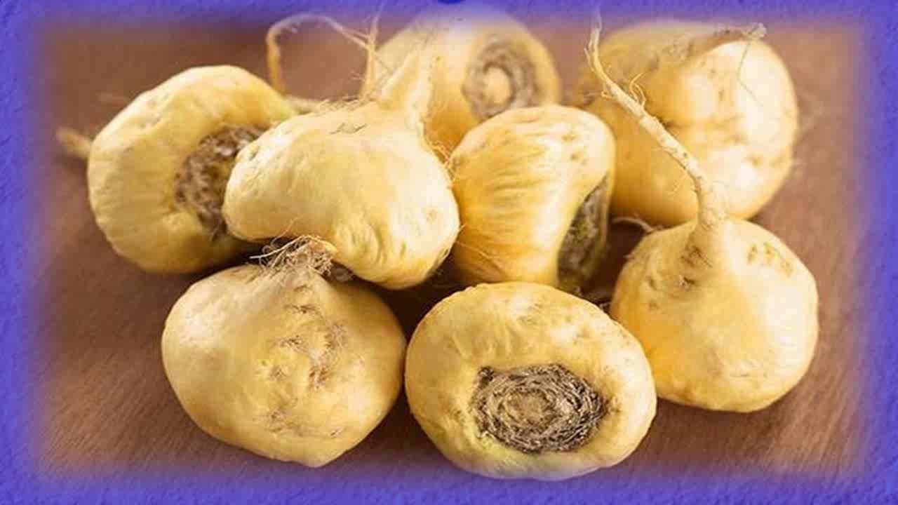 Para Que Enfermedades Sirve El Guareque 🍀 Donde Puedo Comprar Wereke ...