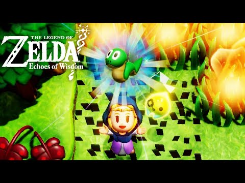 Building an Army of Snakes | The Legend of Zelda Echoes of Wisdom - YouTube