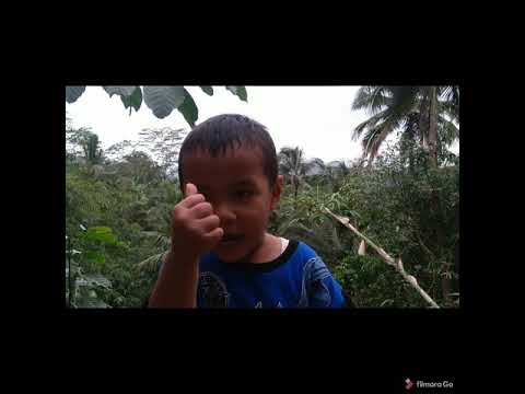 bocil pemersatu bangsa