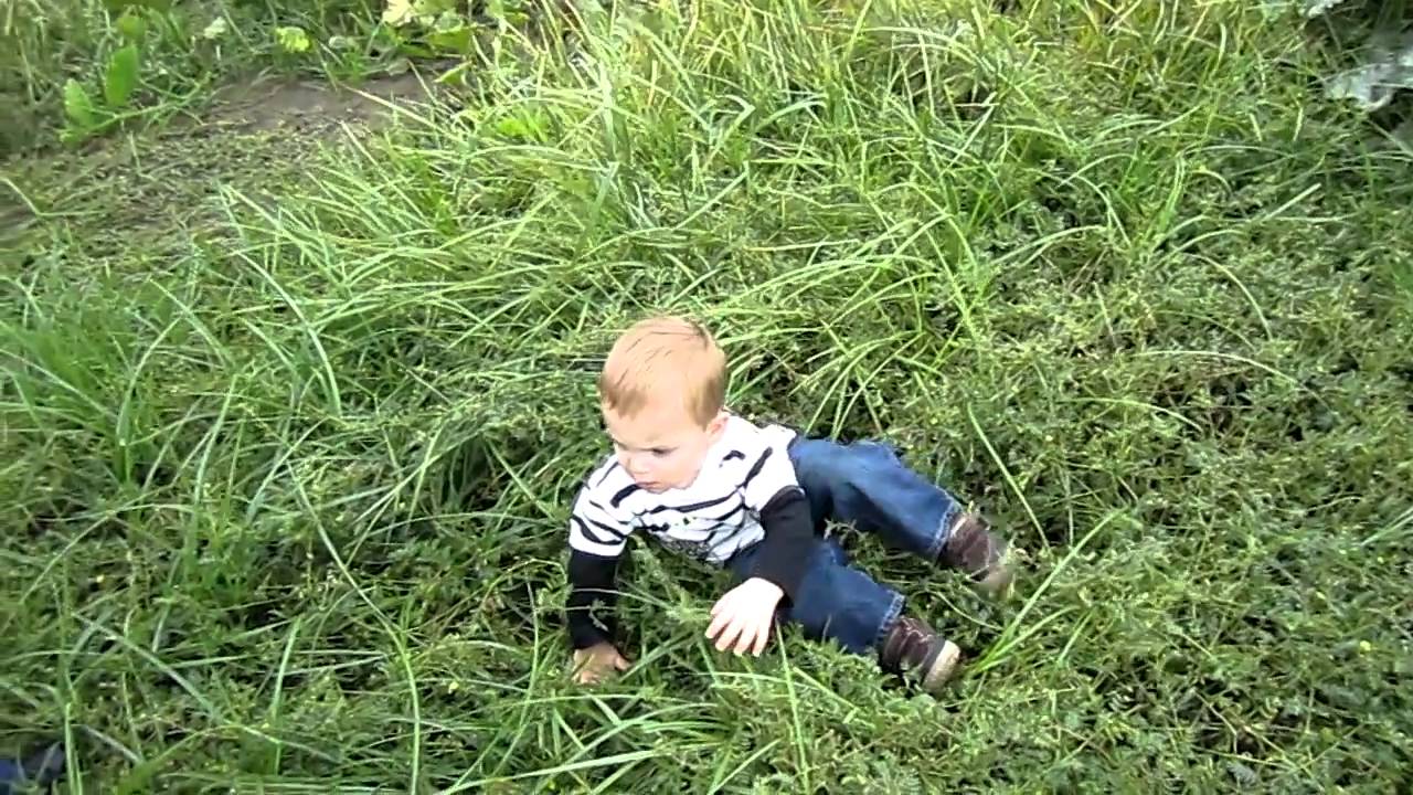 Pumpkin Patch Movie 8 - YouTube