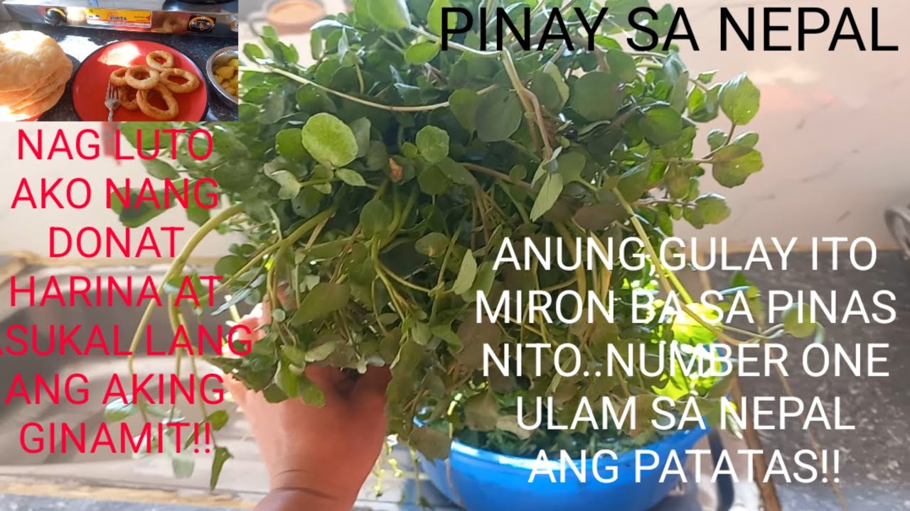 SILIPIN NATIN ANG AKING SNAKE PLANT fresh,MILK SA ARAW²× KANYA KANYANG ...