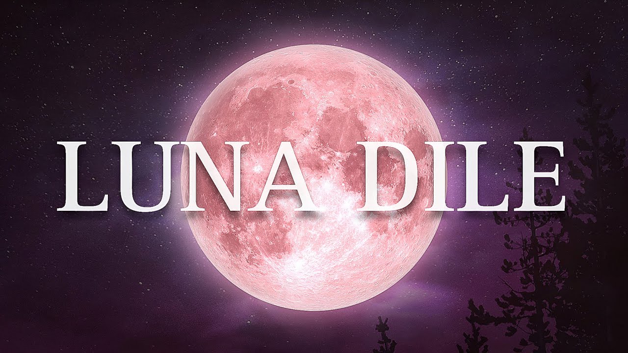 Luna Dile - Flex (Cover) Freddy Araujo - YouTube