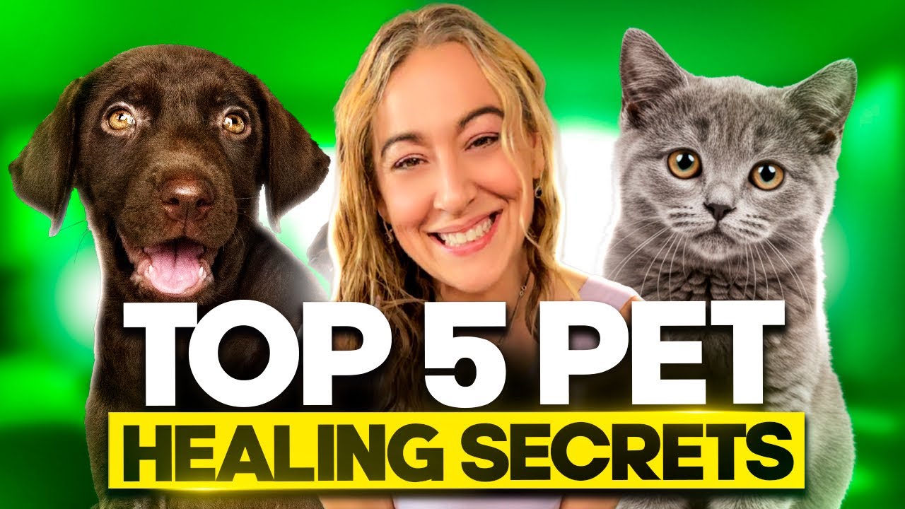 Top 5 Pet Healing Secrets 🫶🏽🐾 - YouTube