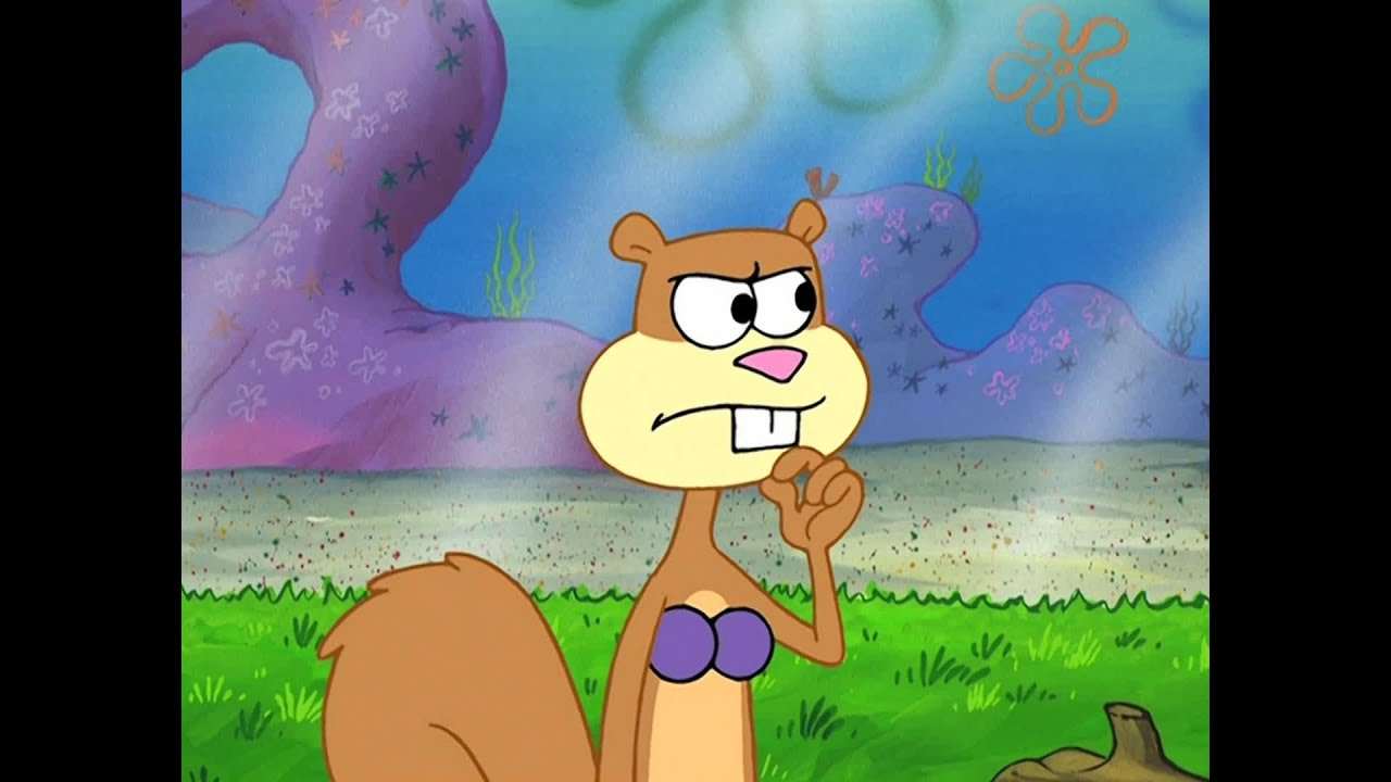 SpongeBob doesn't have hair... or does he? - YouTube