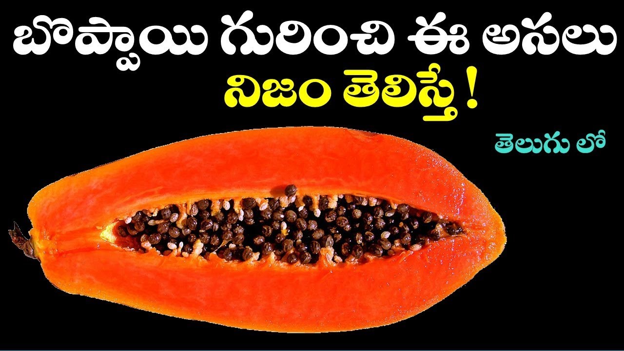 Papaya Health Benefits In Telugu II Papaya Uses In Telugu II papaya-health-benefits-in-telugu-ii-papaya-uses-in-telugu-ii
