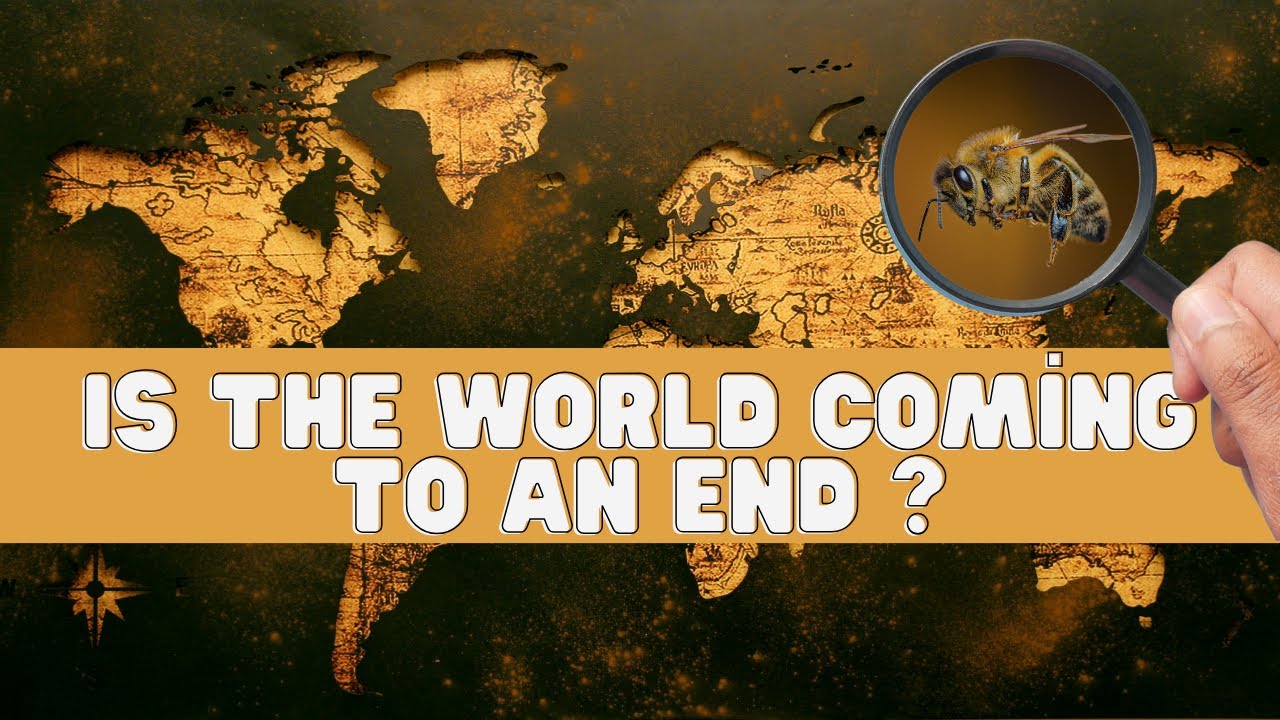 Is the World Coming to an End - What Would Happen If All the Bees Died ...