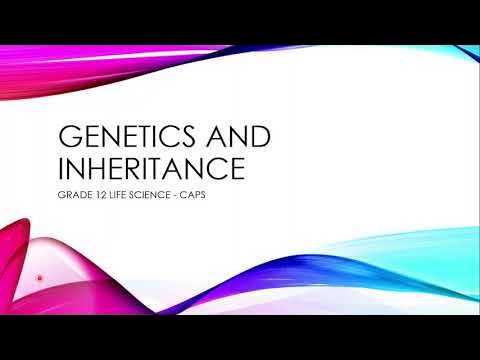 Grade 12 Life Science: Genetics and Inheritance - YouTube